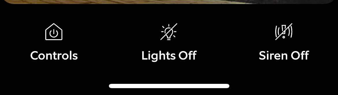 Understanding Controls in the Ring app