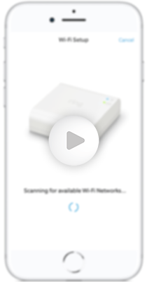 Setting Up Your Ring Smart Lighting Bridge